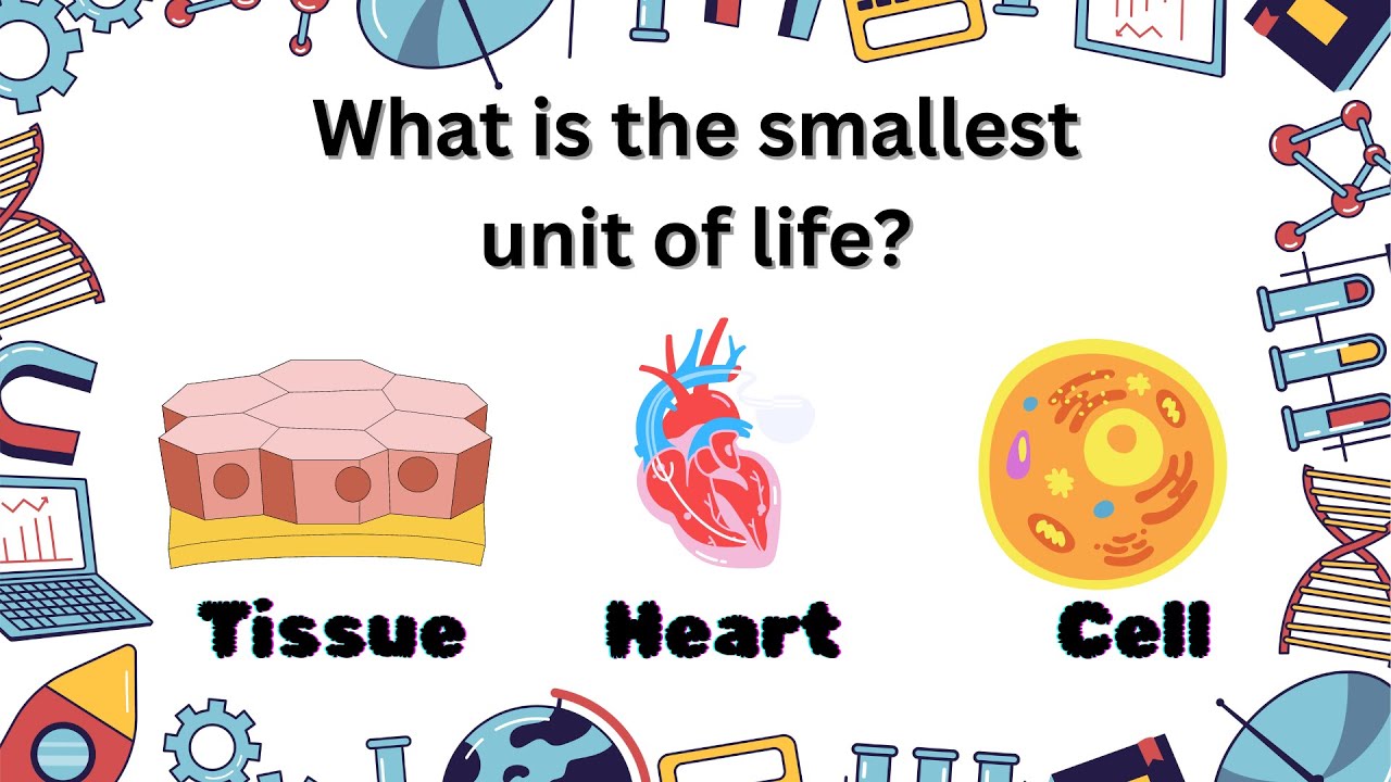 Science GK Quiz for Kids |General Knowledge Quiz | Basic science Quiz ...