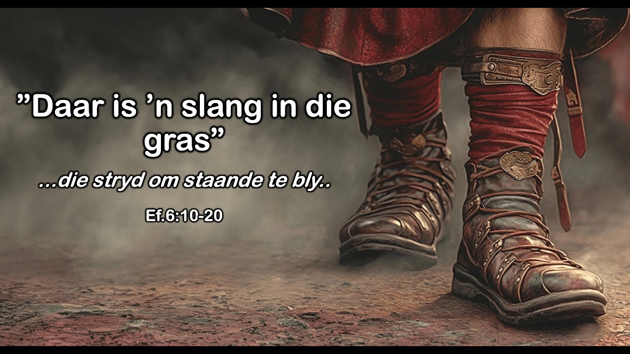 Diens 25 Augustus 2024 Daar is 'n slang in die gras - YouTube