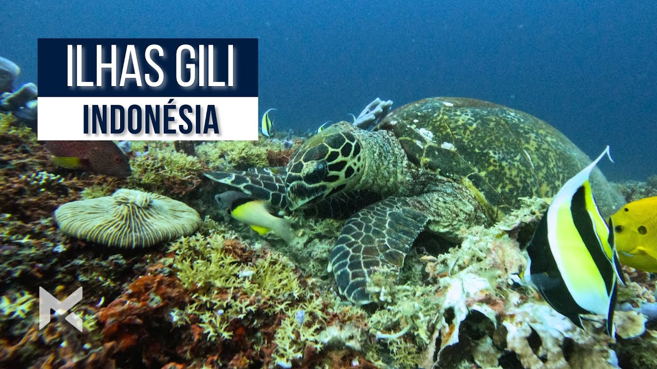 Conheça as tranquilas e paradisíacas ILHAS GILI na INDONÉSIA - YouTube