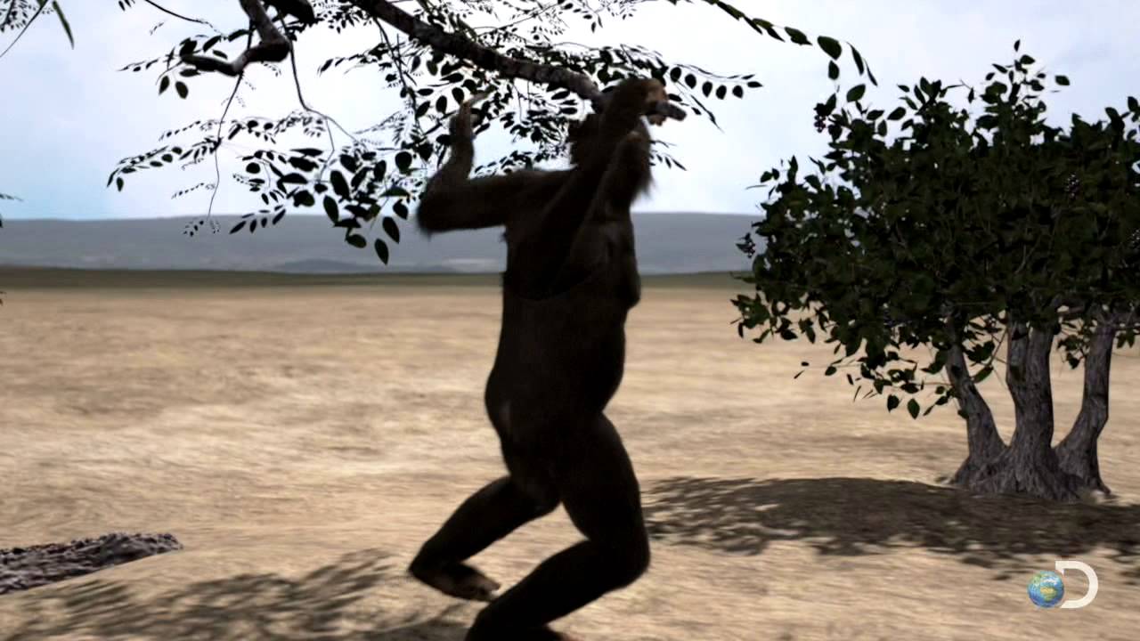 Our First Steps | Curiosity: Mankind Rising - YouTube