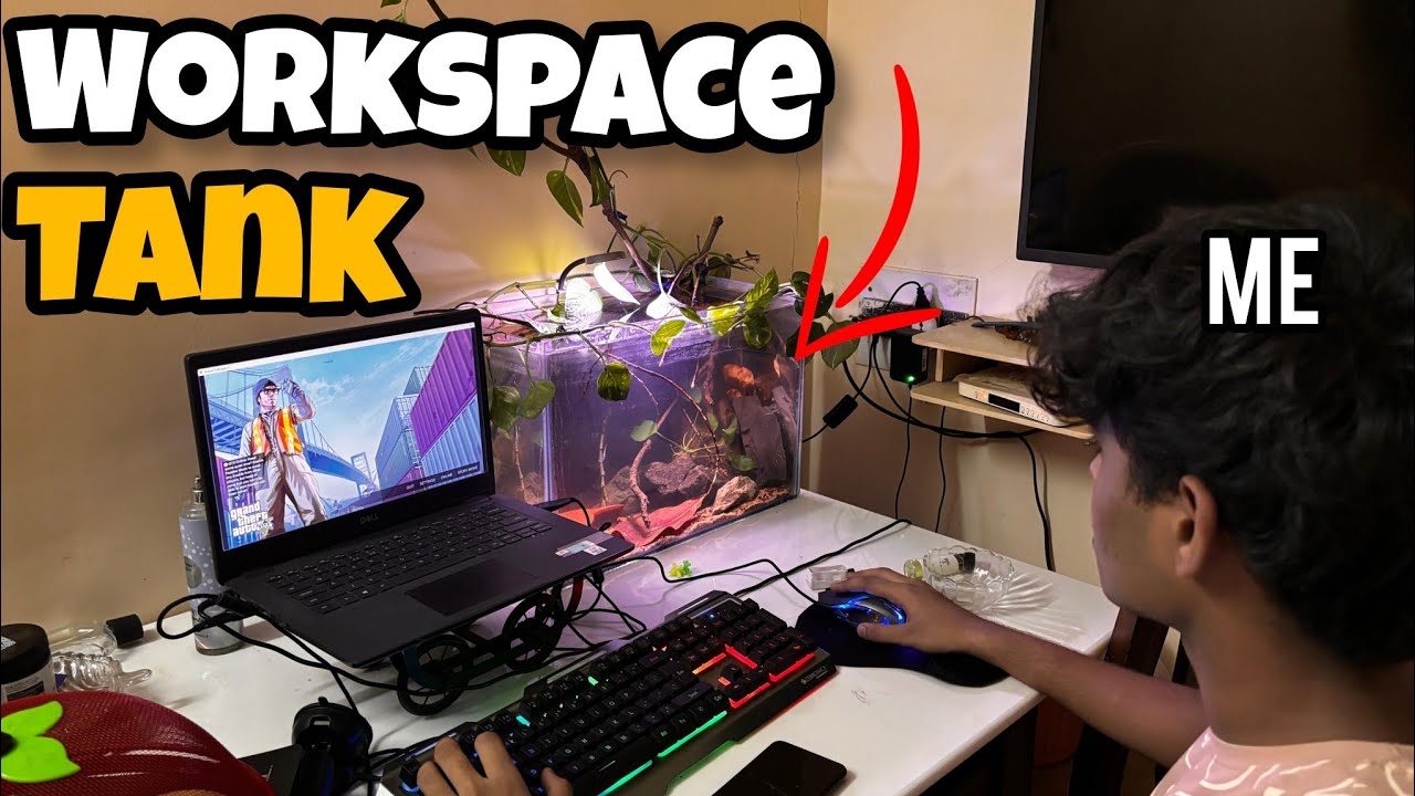 I Built a Fish Tank On My Work Desk! (Fish shopping) - YouTube