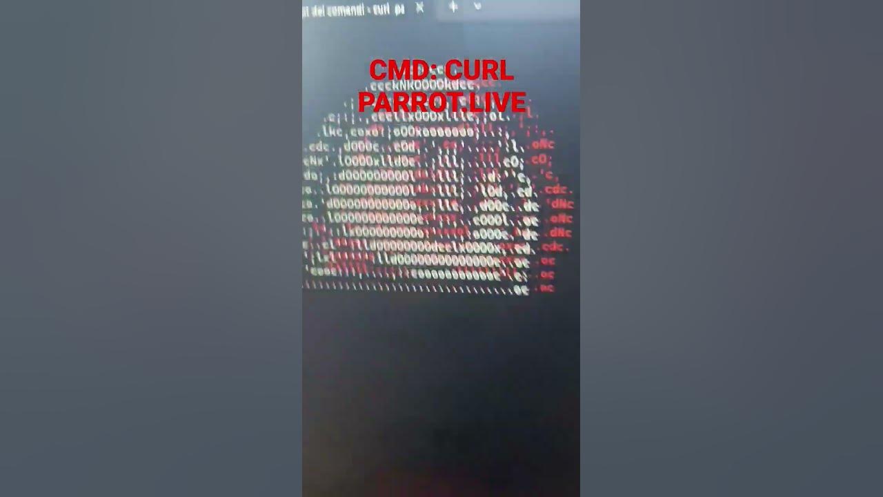 Segreto Del Cmd Divertente Parrot Youtube