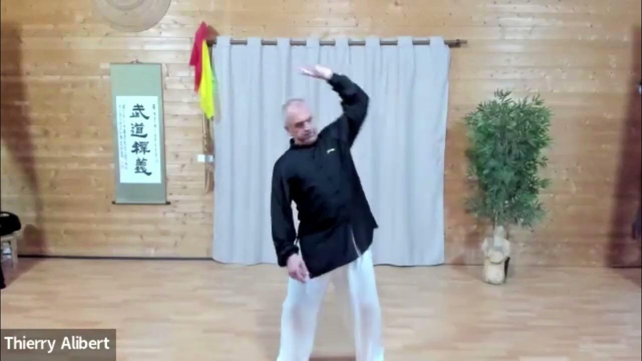 Extrait cours Tai CHi Chuan "forme 108" par Thierry Alibert 7ème Dan FFK - YouTube