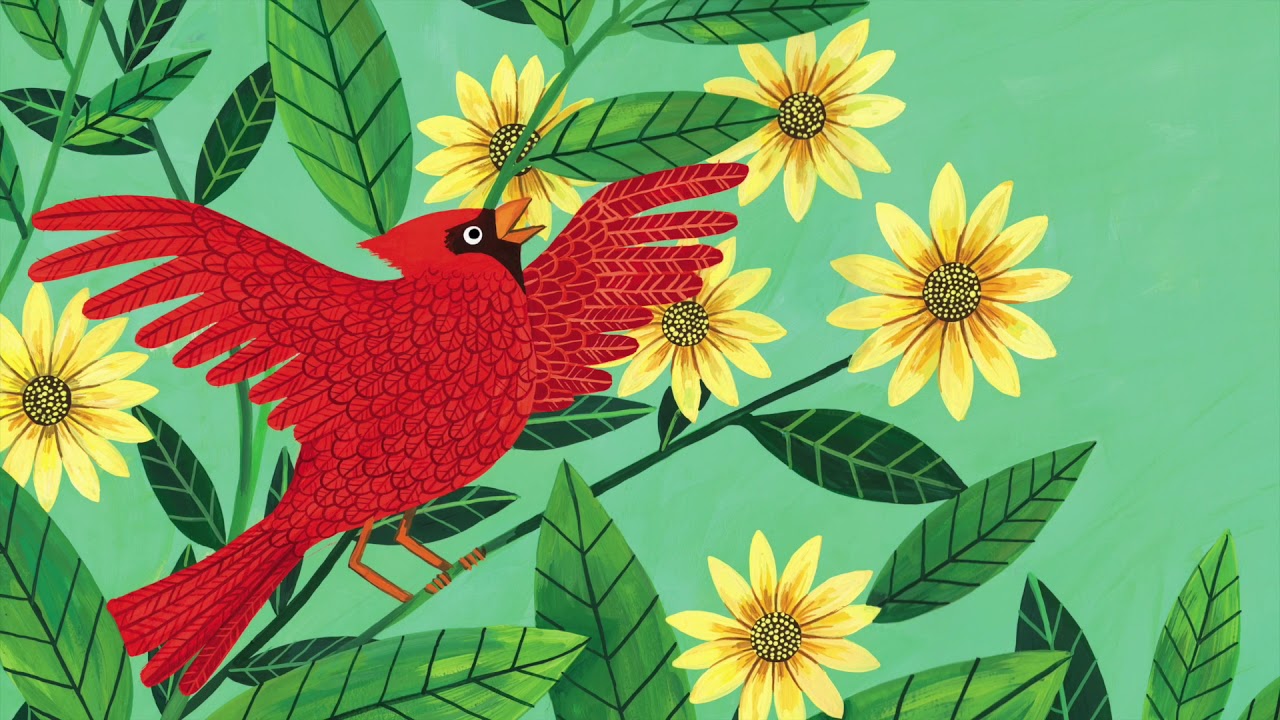 Why Evergreens Keep Their Leaves - The Reading Corner - YouTube