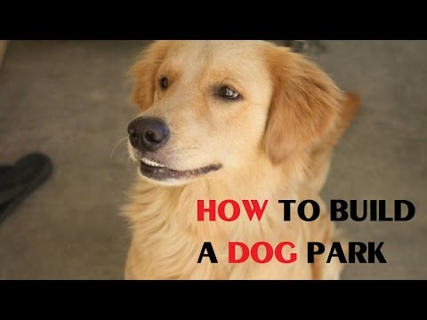How To Design A Dog Park