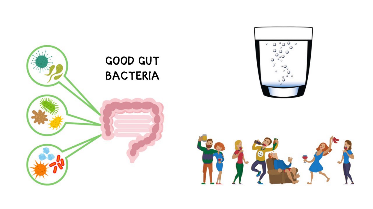 The Science of hangovers - YouTube