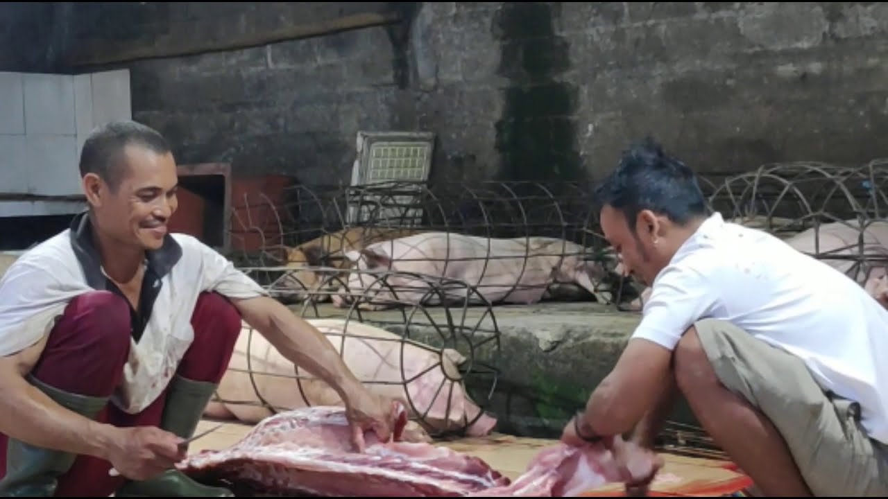 CARA POTONG BABI DI BALI - YouTube