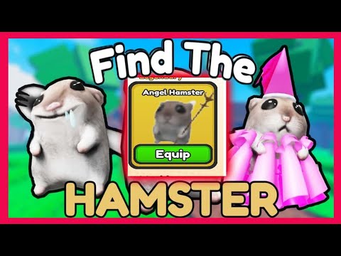 Guide How To Get ANGEL HAMSTER On Roblox FInd The Hamsters! - YouTube