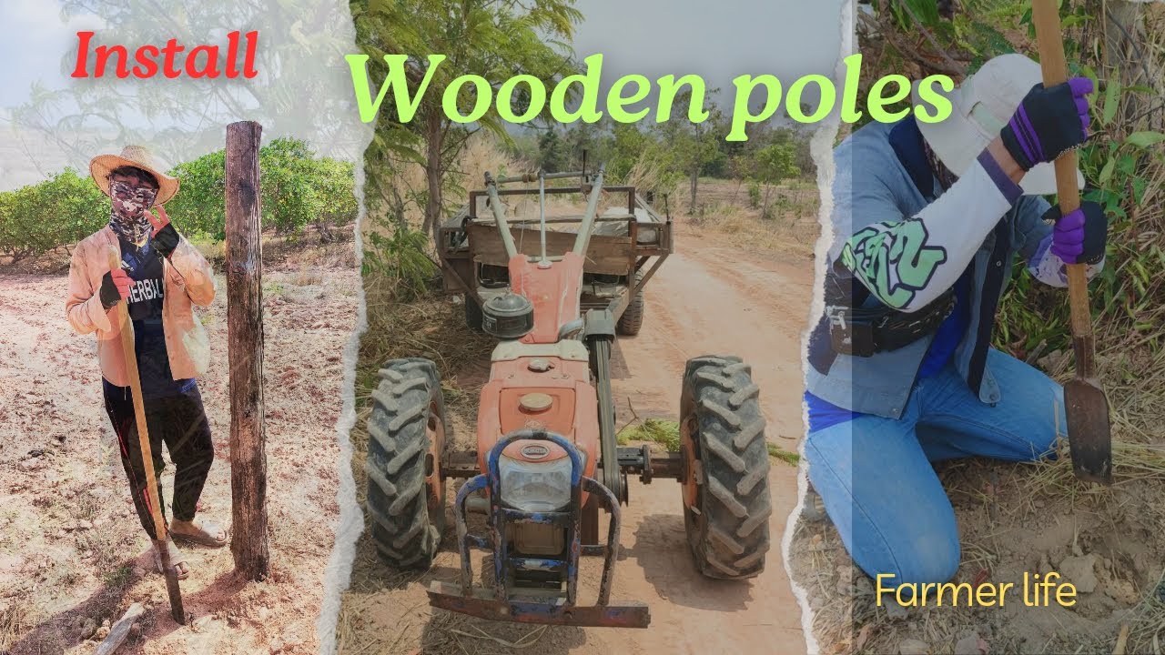 Install Wooden poles in farm - YouTube