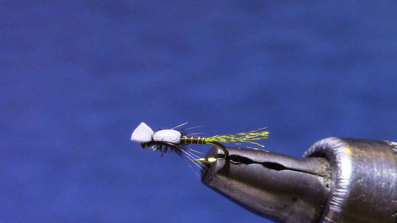 Mayhem Olive - YouTube