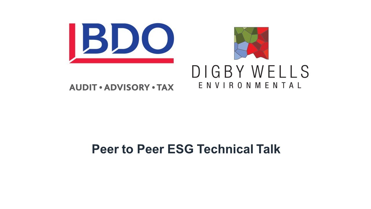 BDO and Digby Wells Environmental Peer to Peer ESG Talk - YouTube