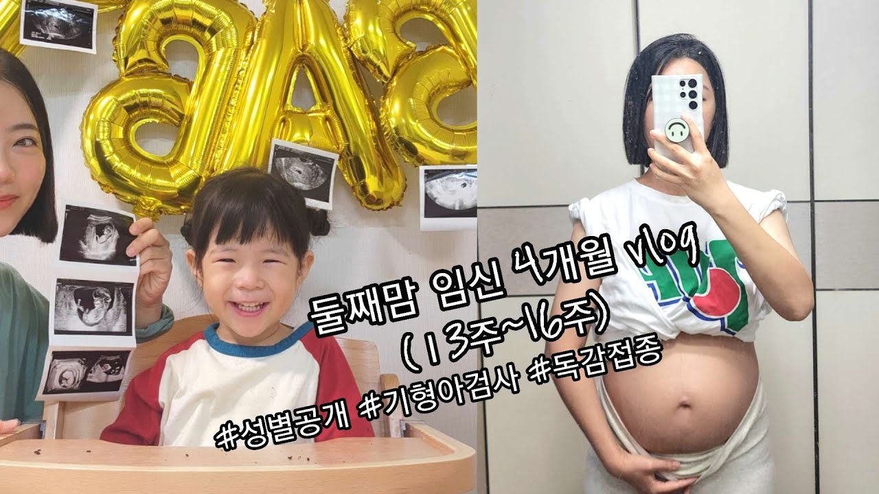 임신 육아 브이로그 둘째 임신 4개월 Vlog 성별확인 첫째한테 동생알리기 임신 13주 14주 15주 16주 기형아검사 배크기 몸무게 초음파 Youtube