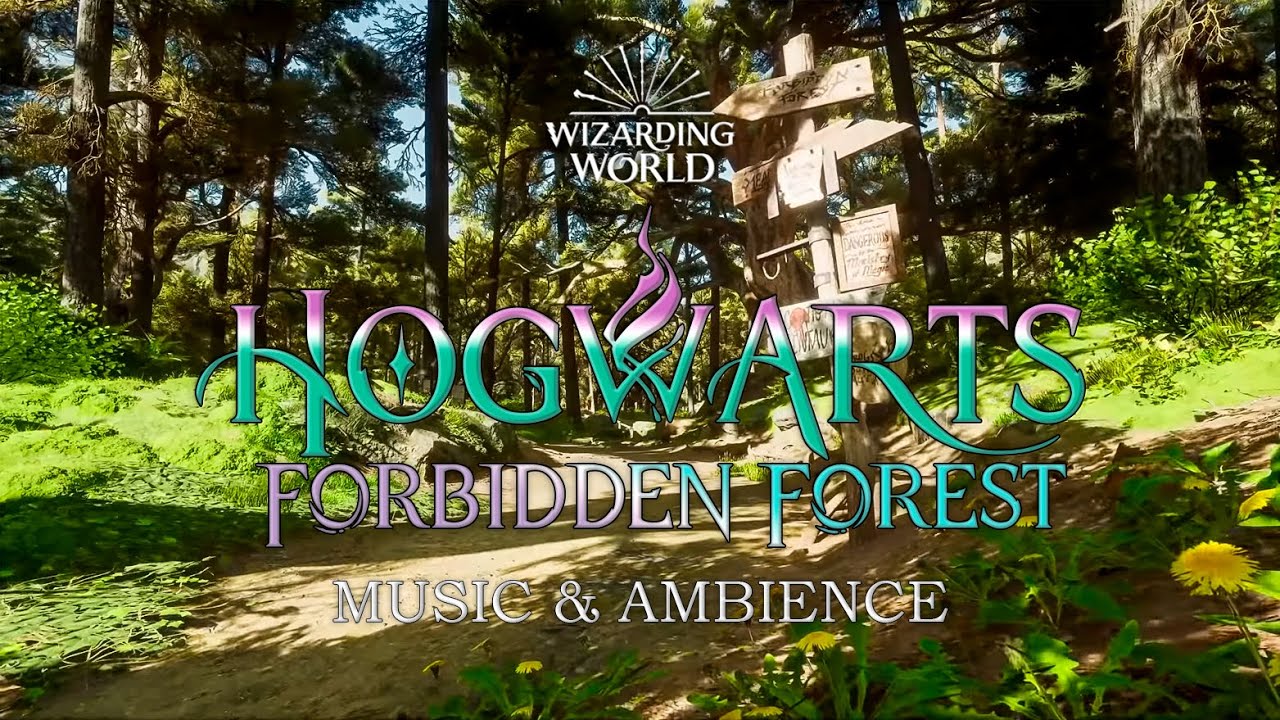 🌲 Forbidden Forest: Hogwarts Students' Secret Foray | Magical World ...