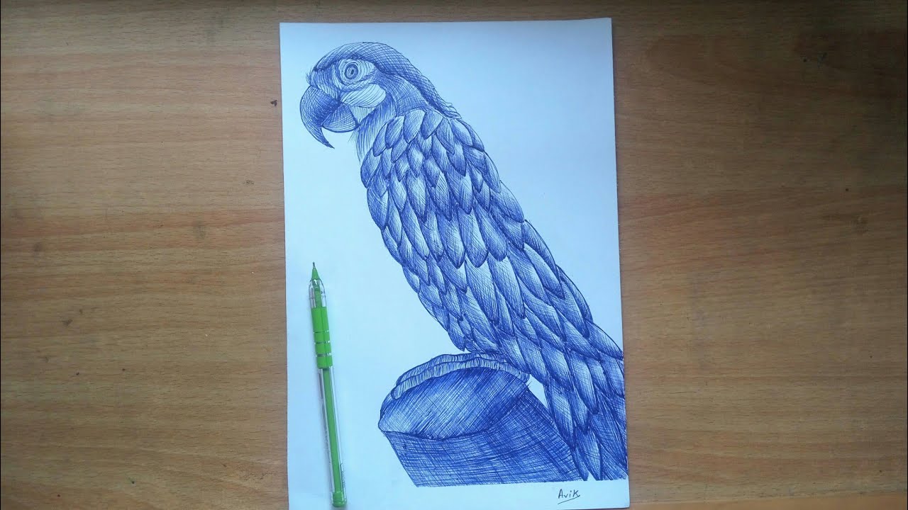 Ball Pen Drawing | using normal Pen | Hatching technique - YouTube