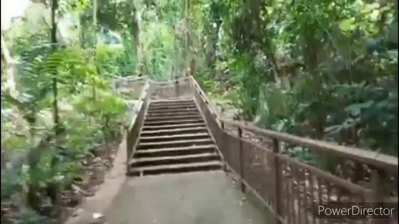 perjalanan menuju marang trail NParks /mount faber/henderson waves dari ...