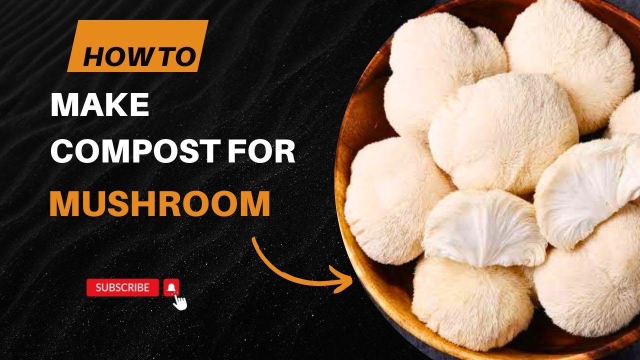 How to grow mushrooms | How to make mushroom Compost| Preparation for ...