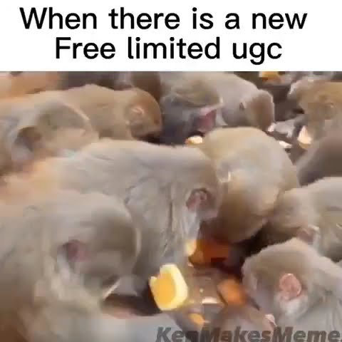 when there is a new free limited ugc #funny #roblox #youtubeshorts # ...
