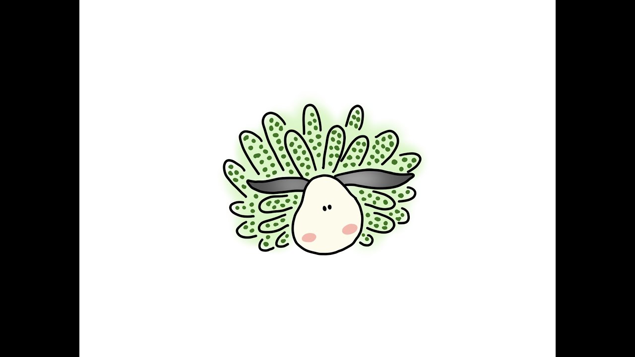 How to Draw easy ‘Sea sheep’ using PROCREATE | MiniG - YouTube