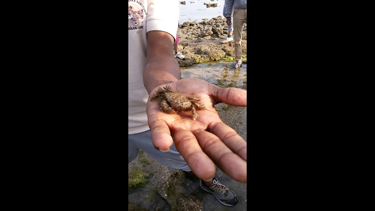 Positra nature camp - YouTube