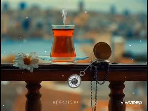 Whatsapp durum videoları