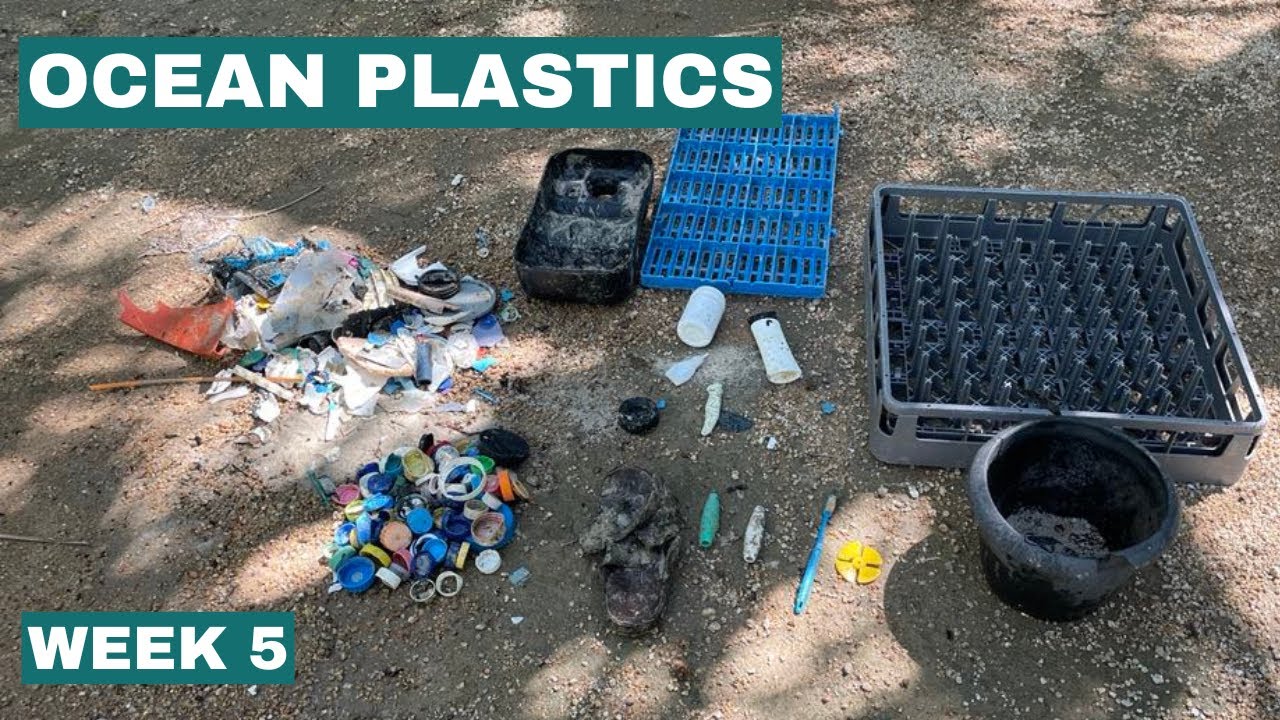Ocean plastics wash up on our beach every day. - YouTube