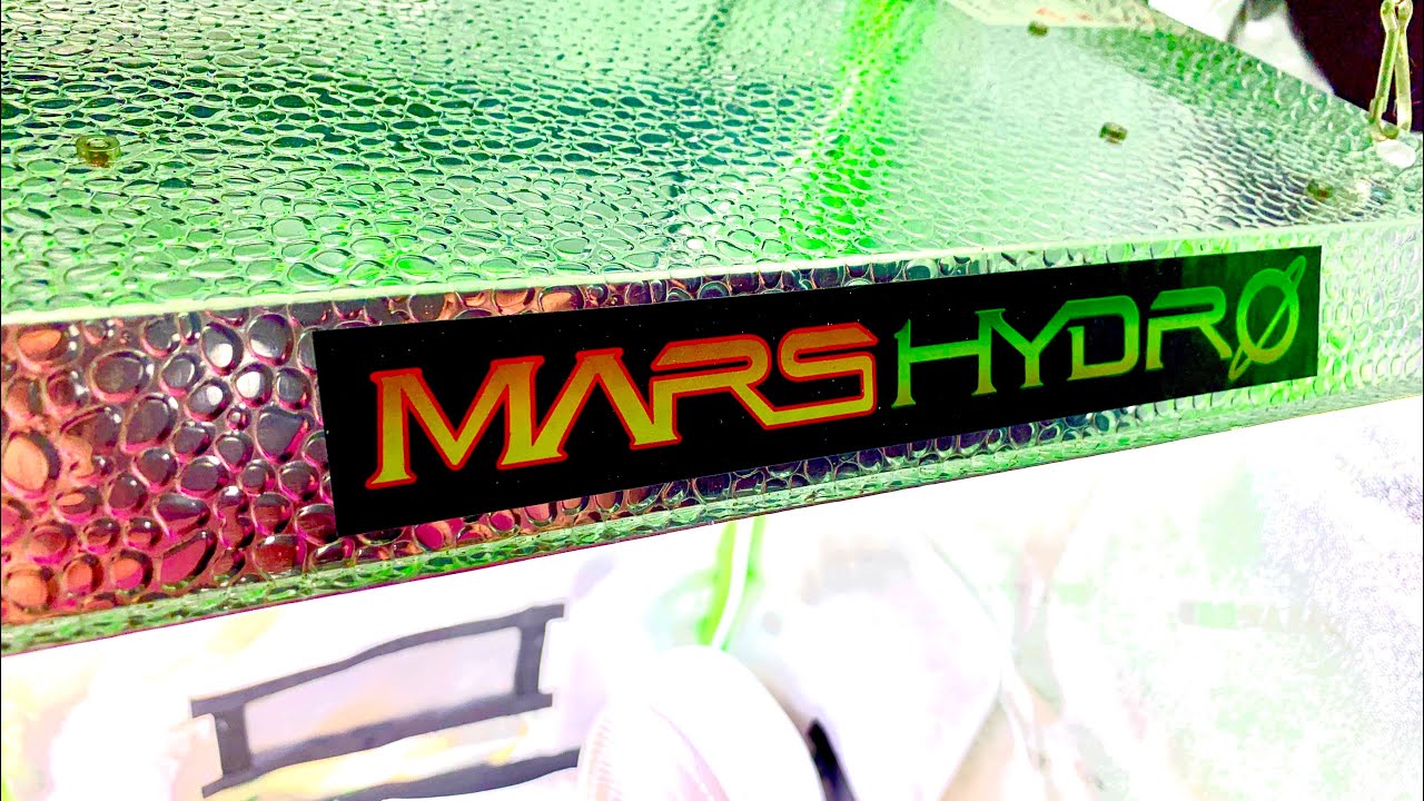 💥Mars Hydro TS 600 Review💥(Update) - YouTube