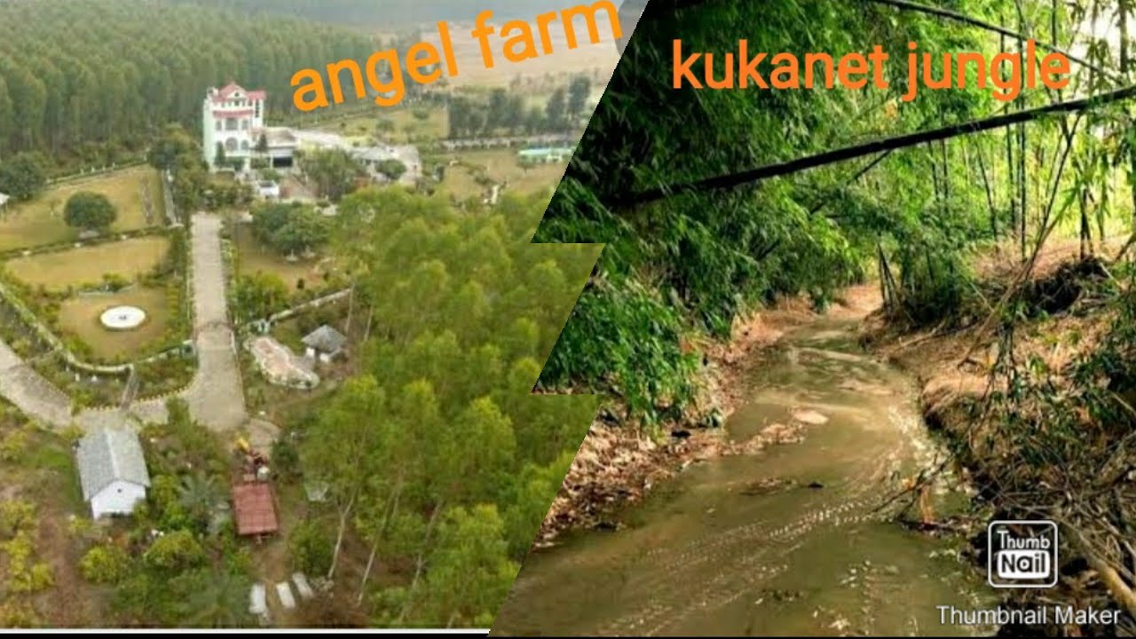 kukanet jungle - YouTube