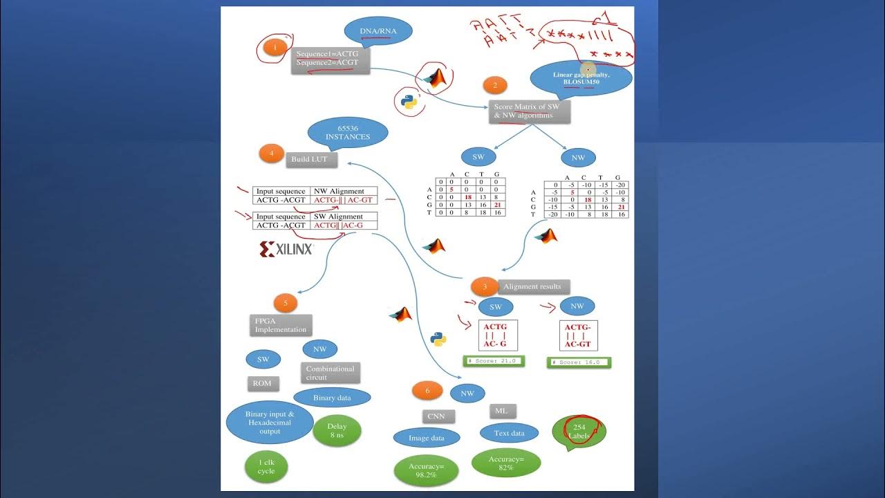 Lec 4-Accelerating DNA/RNA Sequence Alignment Algorithms using FPGA , CNN, and ML - YouTube