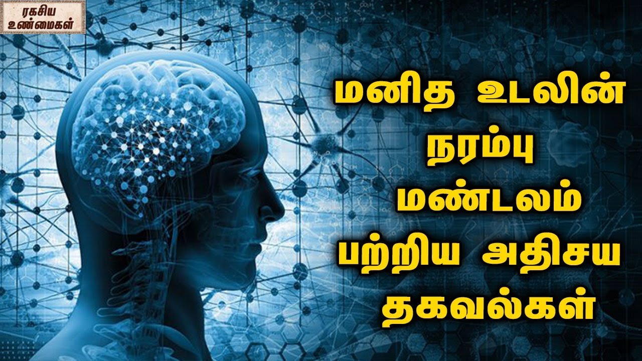 Unknown Facts About Nervous System Of The Human Body Unknown Facts unknown-facts-about-nervous-system-of-the-human-body-unknown-facts
