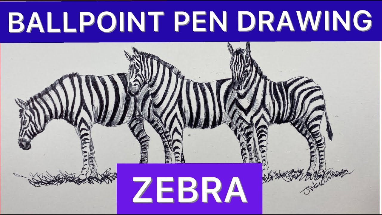 Ballpoint pen drawing of zebra - YouTube
