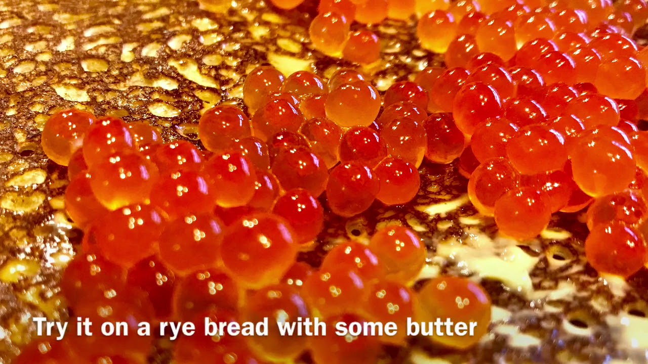 Red caviar, Home cured - YouTube