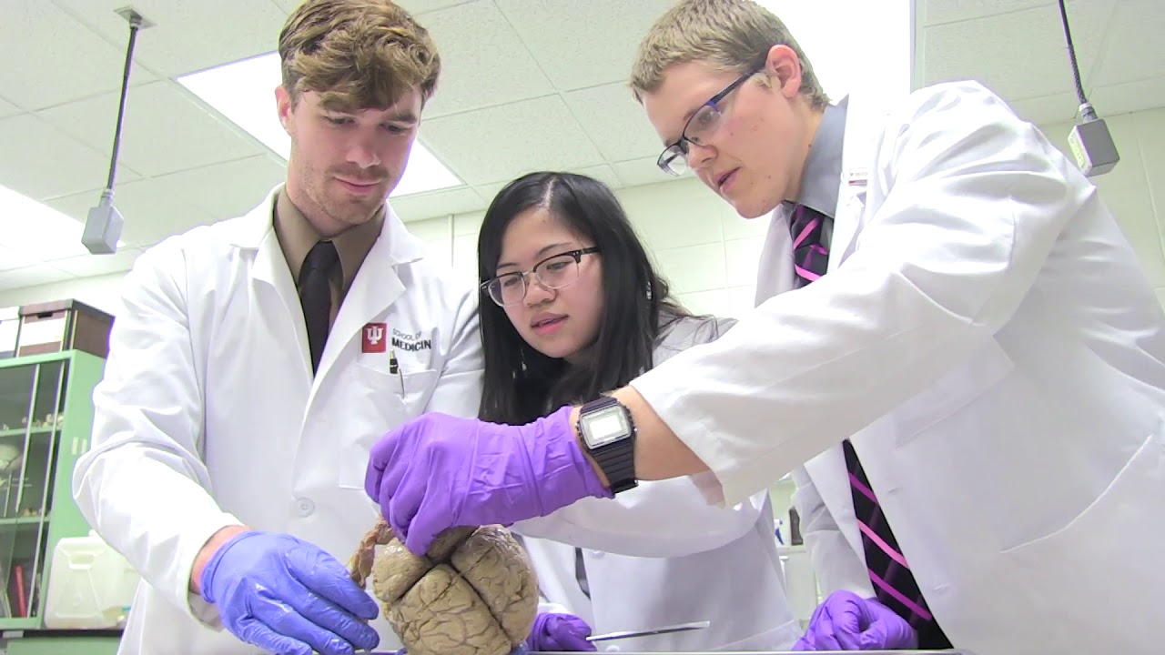 IU School of Medicine Department of Surgery - YouTube