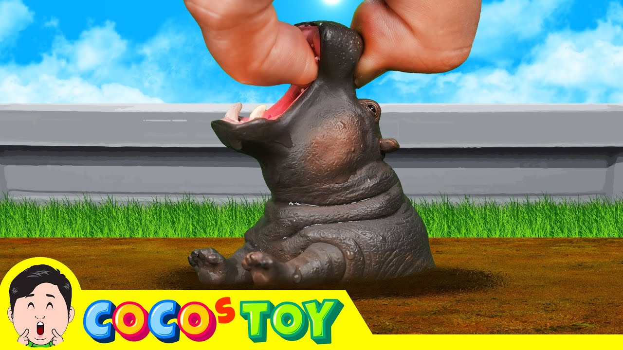 Animals live in my front yard!｜Animals name, Kidstoon｜CoCosToy - YouTube