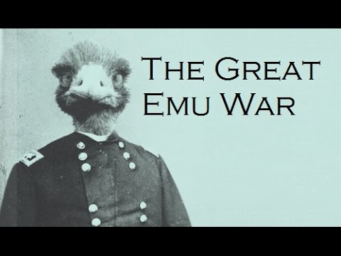 The Great Emu War - YouTube