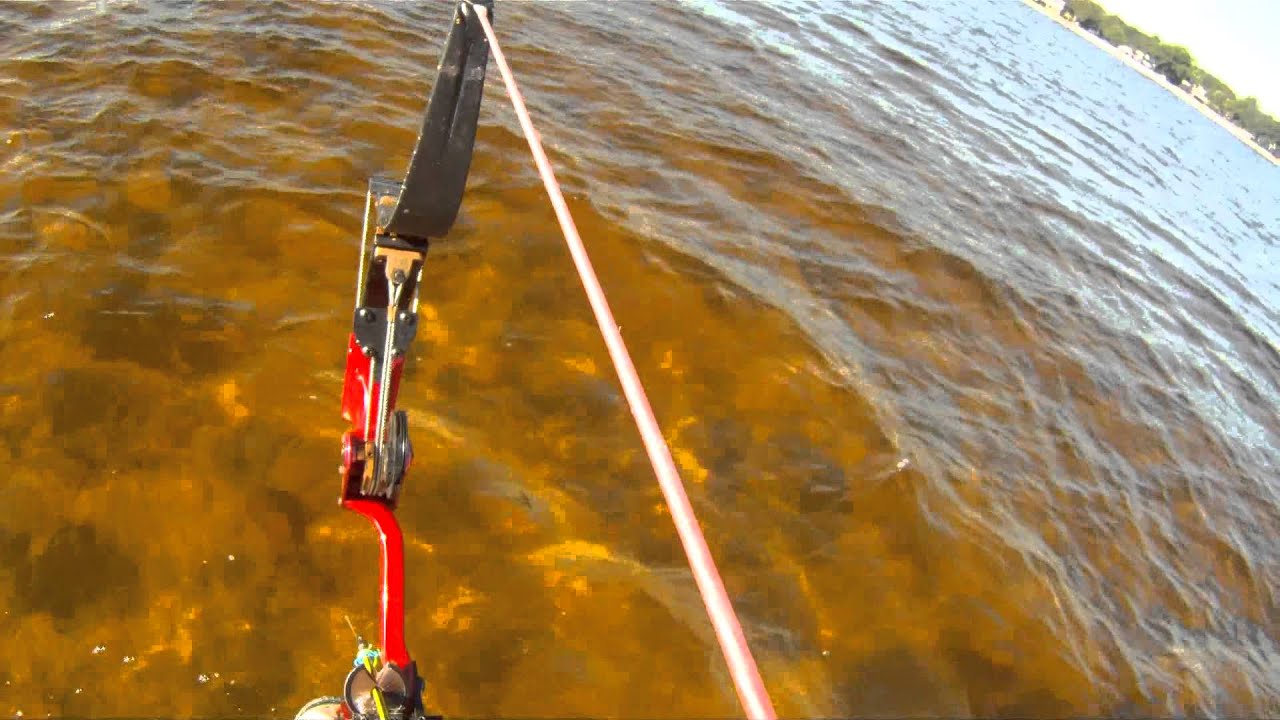 Death Dealers Stingray Bowfishing - YouTube