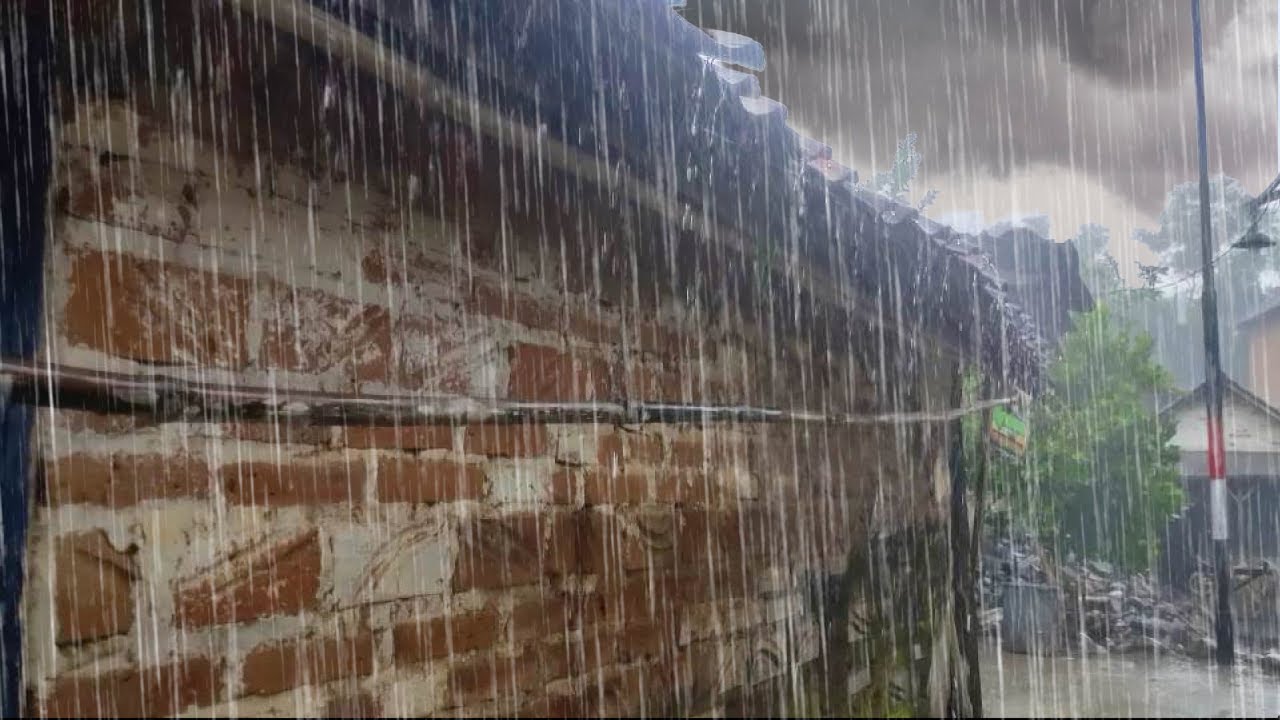 Ultimate Heavy Rain Sleep Therapy😴 | Sleep Soundly with Rain Hitting ...