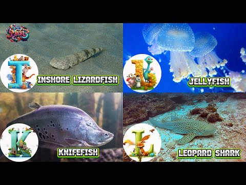 ABC Sea Animals song | Learn Alphabets | English and Animals for Kids ...