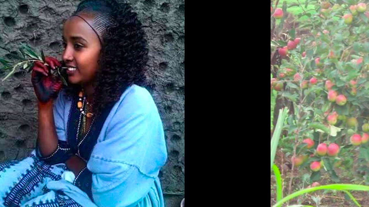 Gumaye raya azebo fascinating lyric and melody 2019 (Official video ...