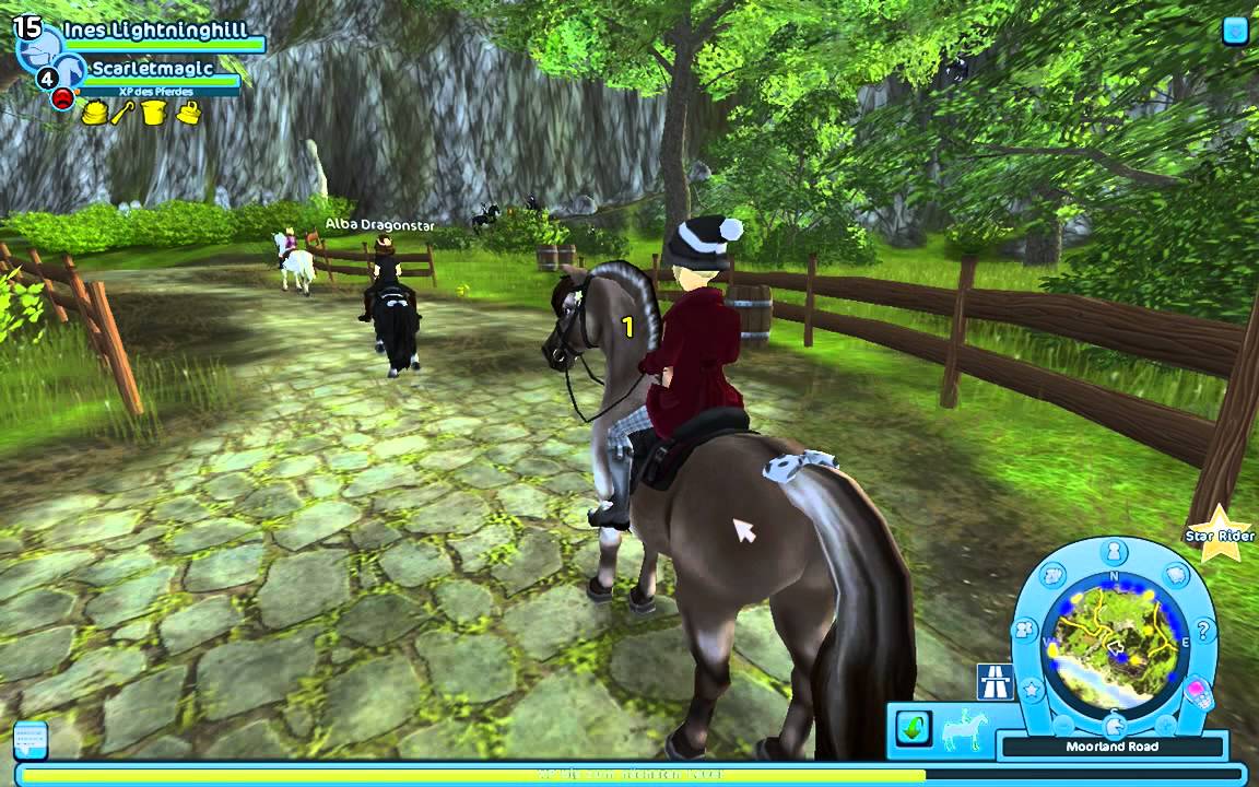 sso bob cats geburtztag tan - YouTube