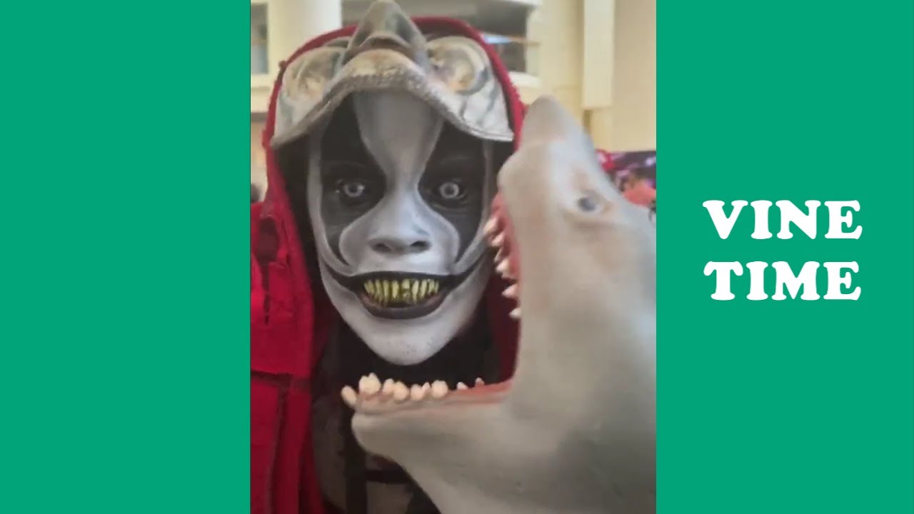 Best Tik Tok of The Shark Puppet (W/Titles), Funny The Shark Puppet Tik ...