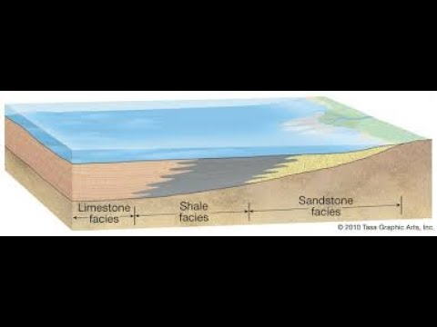 Stratigraphy 4 lithostratigraphic name & facies