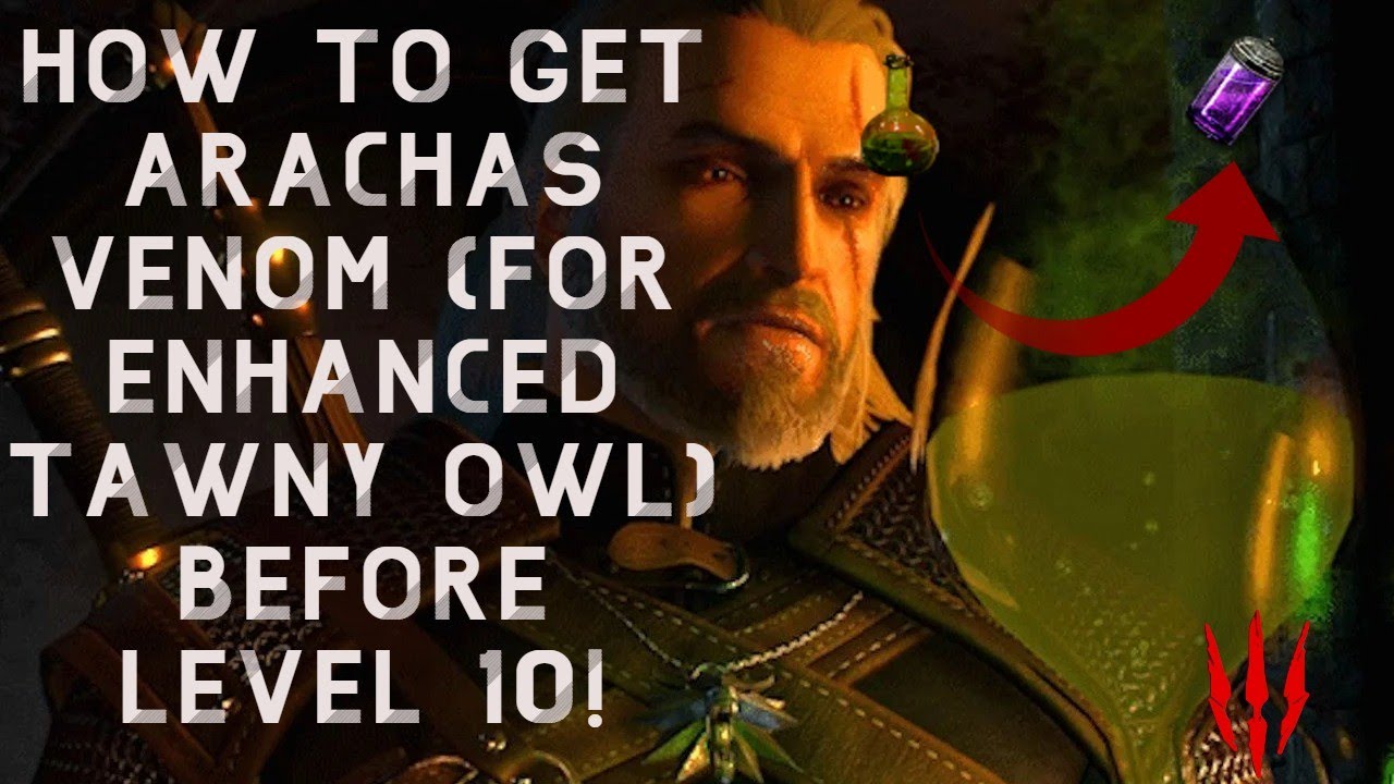 How To Get Arachas Venom (For Enhanced Tawny Owl) Before Level 10 ...