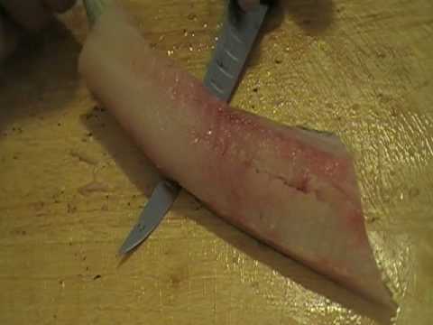 How to Skin a Fish Fillet - YouTube