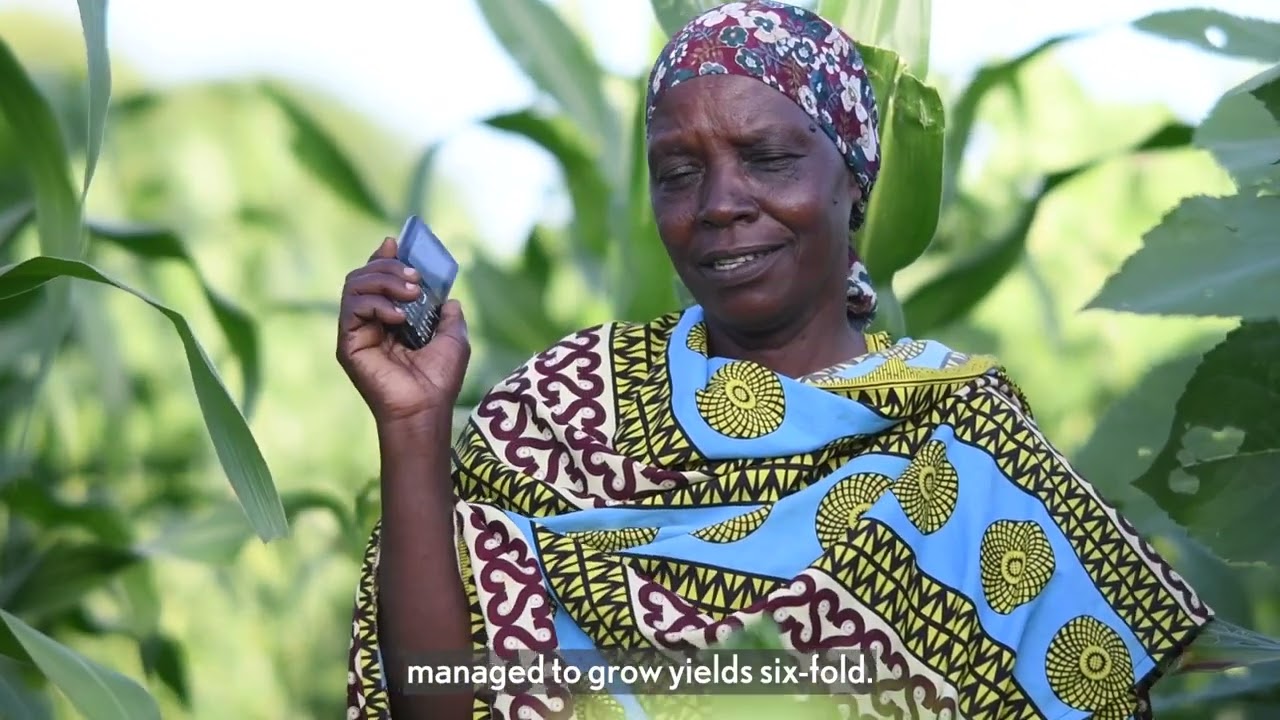 Transforming smallholder farmer economic gains through Mbili-Mbili ...