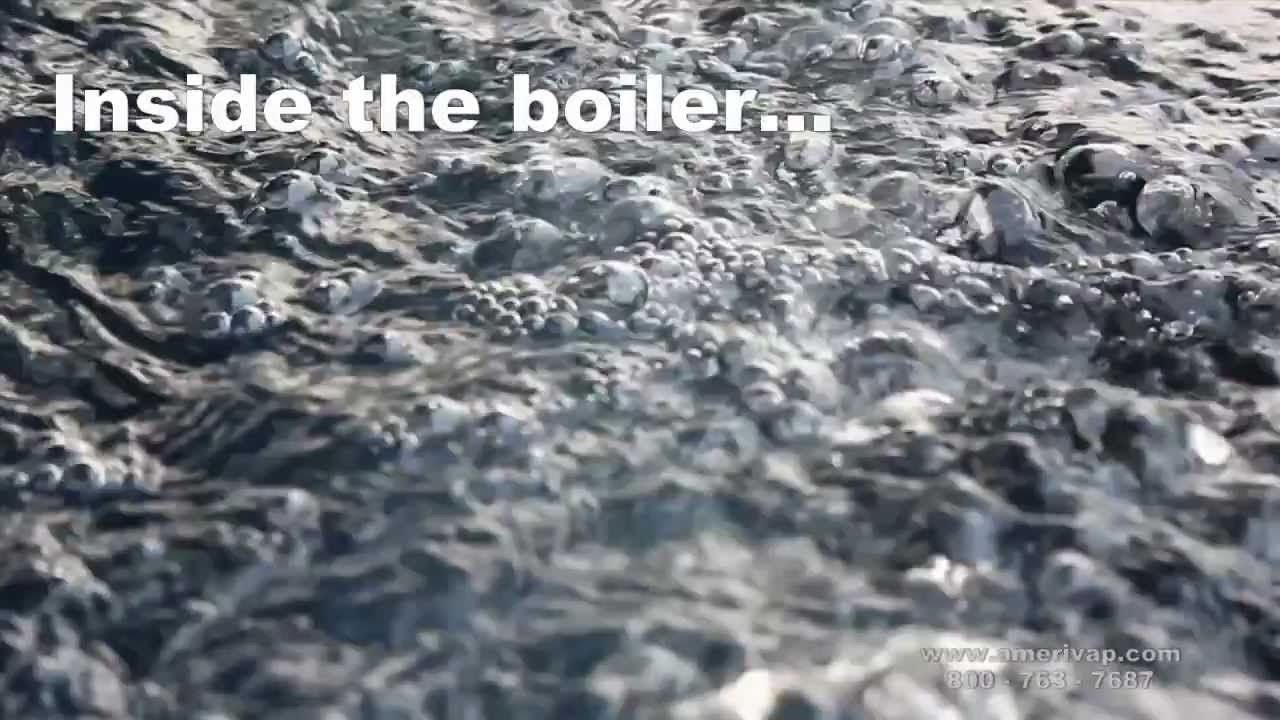 What is a Dry Steam Cleaner and How Does it Clean and Sanitize Without ...