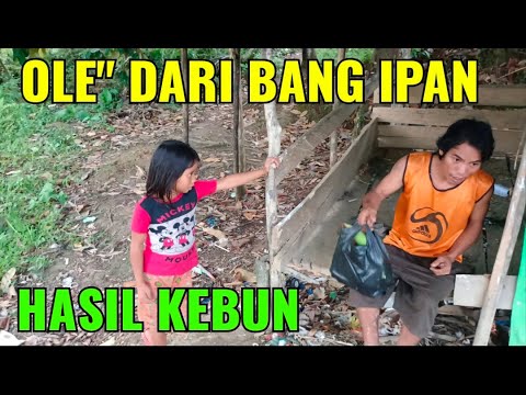 BANG IPAN PITA BAIK MASIH MAU BERBAGAI JAGUNG MESKI TINGGAL SEDIKIT JADI ADA OLE" BUAT ISTRI ...