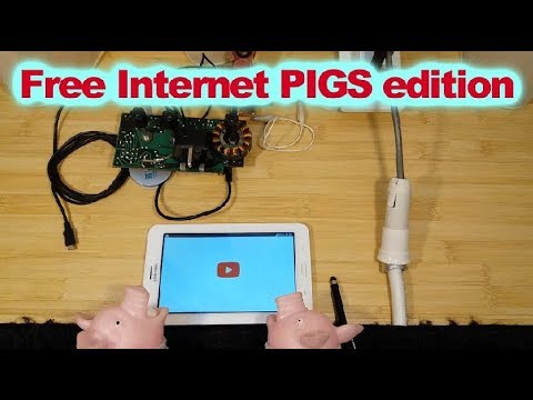 Free Internet PIGS edition by HAPPY PIGS - YouTube