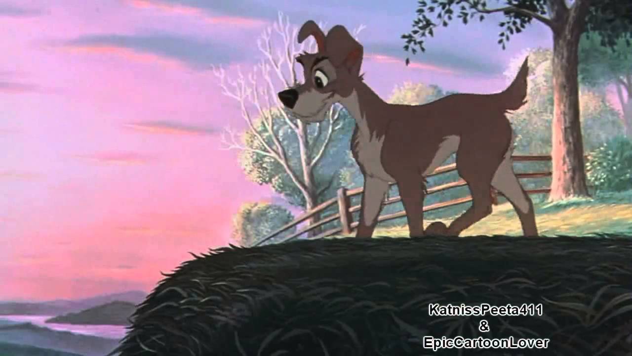 lady and the tramp Fandub Collab - W/KatnissPeeta411 - Open my eyes ...