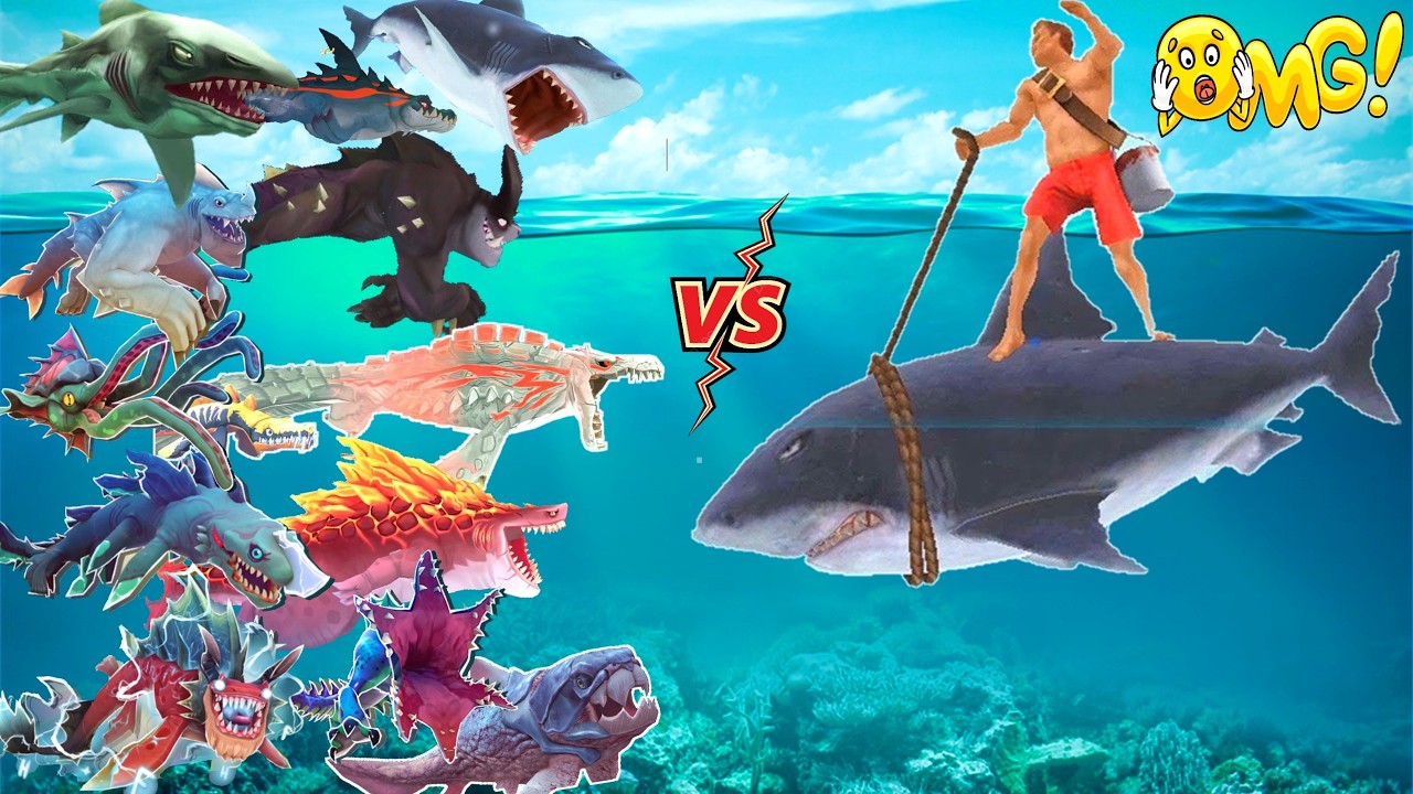 Hungry Shark Evolution - King Of Summer Vs All Sharks - Hungry Shark ...