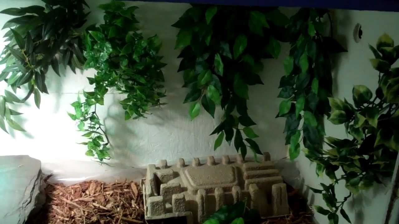 Home Made Extreme Giant Tegu Cage - YouTube